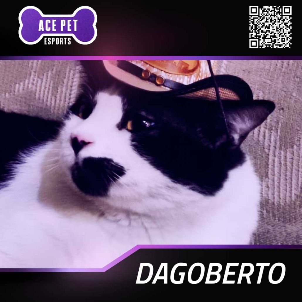 Ace Pet Esports - Academia Ace Esports